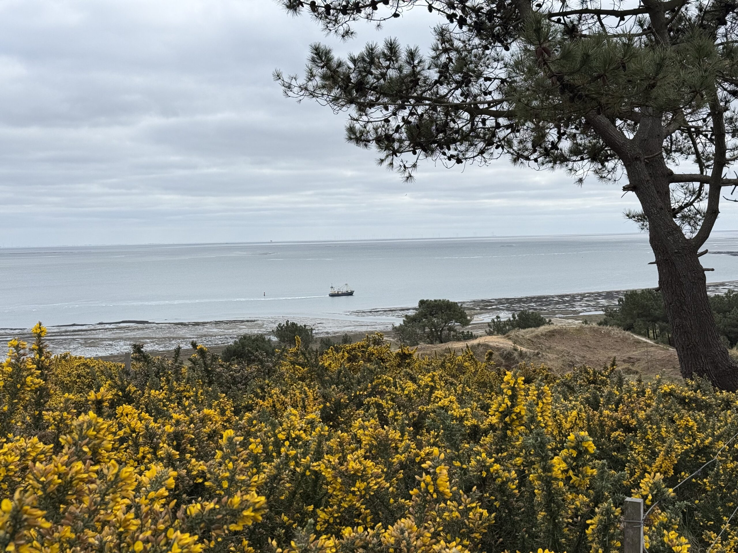 Orthodontiepraktijk Leeuwarden Waddencursus Friese Tandartsen ...